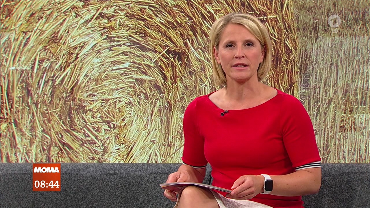 Susan Link ARD Mo Ma 18 08 2020 pp 48 — Postimages