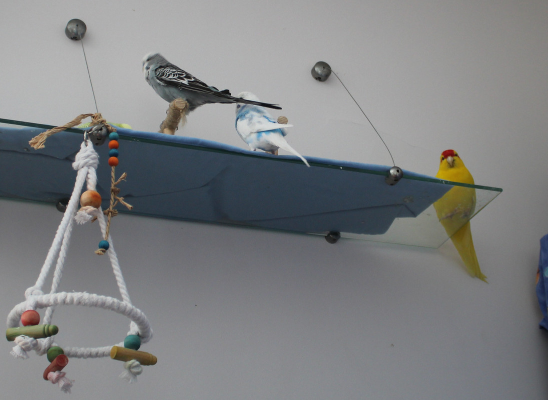 20230702173737 IMG 0203 — Postimages