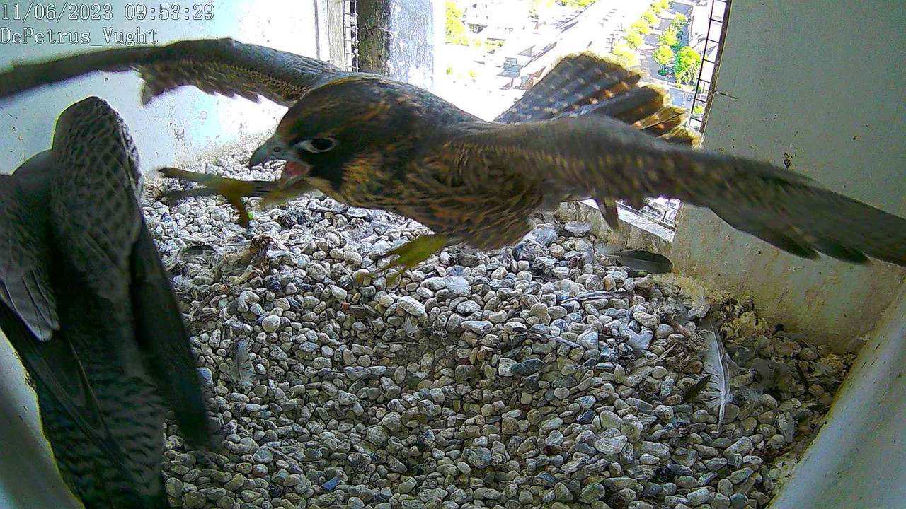 IMG 5548 — Postimages