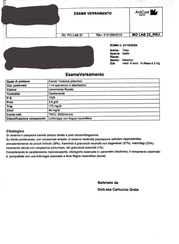 IMG 3458 — Postimages