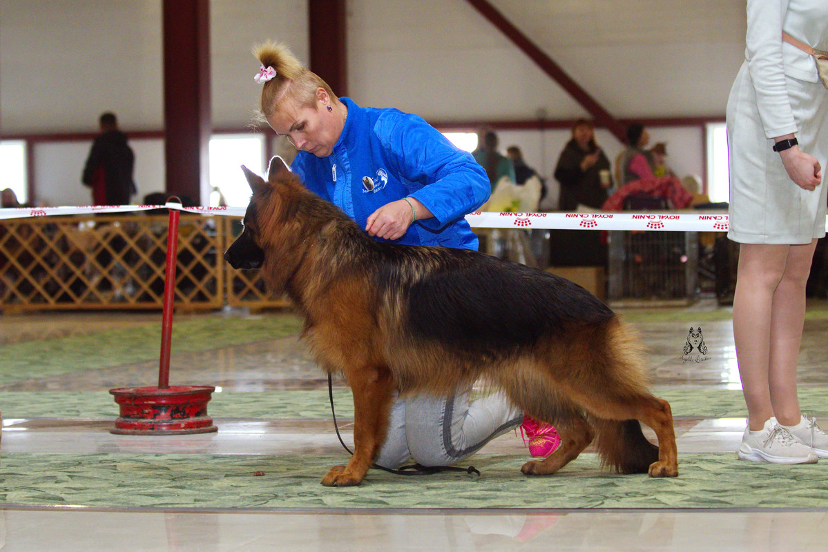 DSC 3597 — Postimages