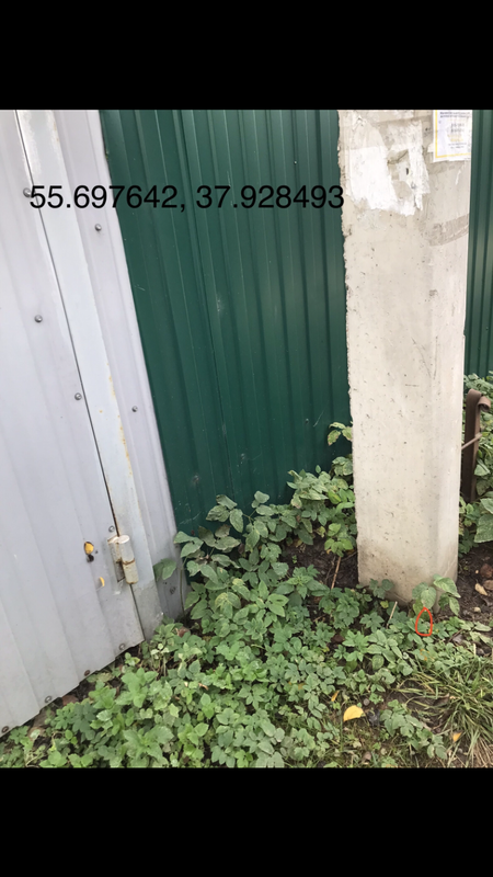 467 B79 CA 1 F60 4746 9084 4 E1 FBC3248 A1 — Postimages