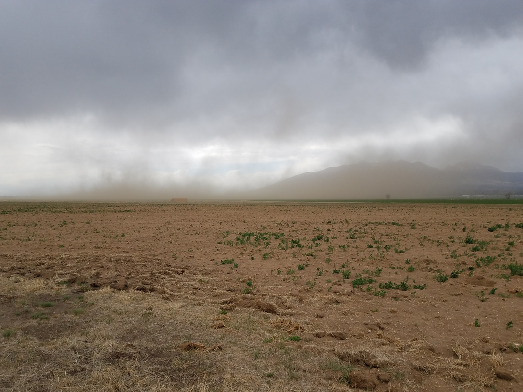 10984 — Postimages