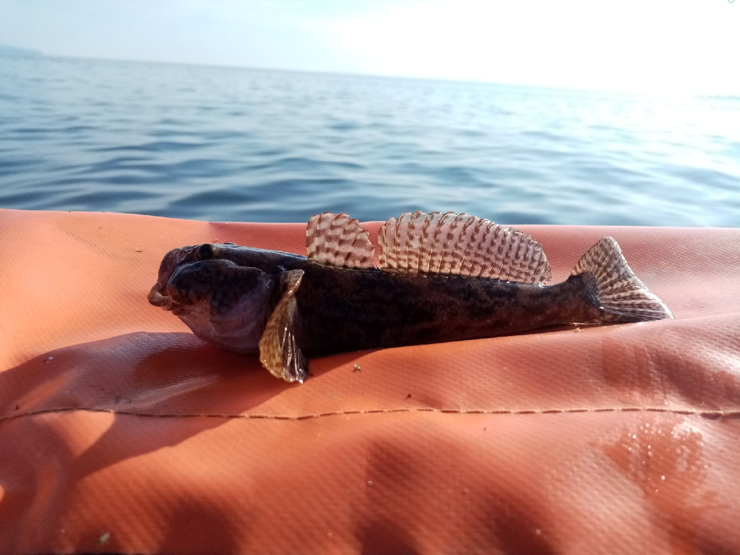 jm Vusm1 Ob G0 — Postimages