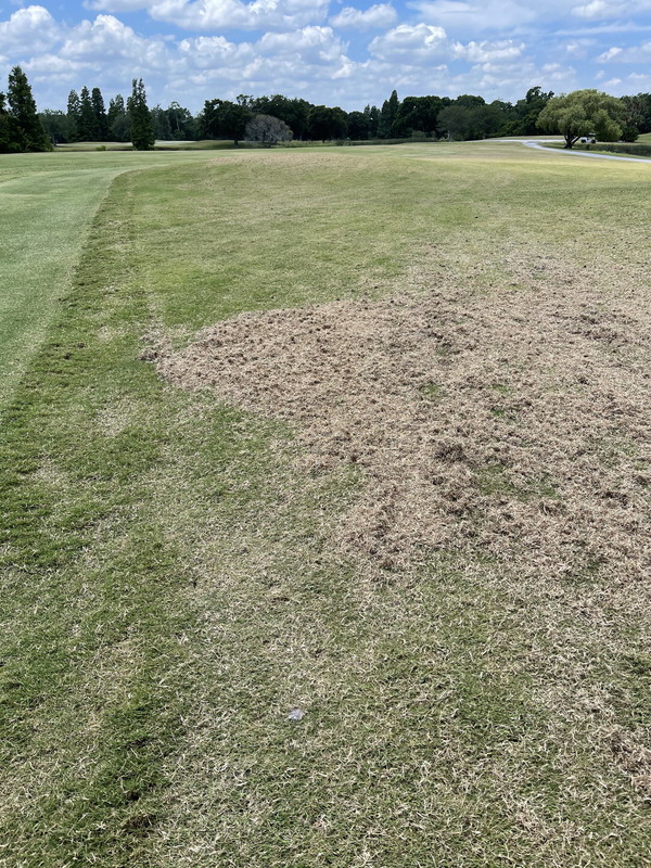 439 tons of sand | Lawn Care Forum