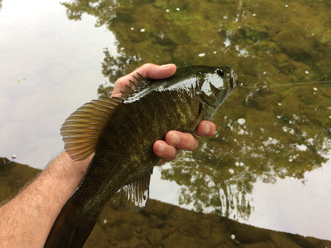 IMG 2213 — Postimages