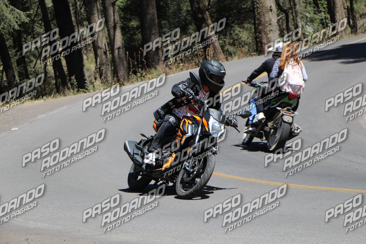 IMG 0923 wm 4401842 6 watermarked — Postimages