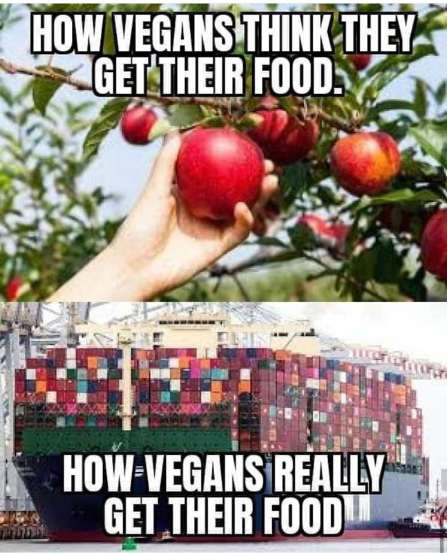 IMG 1244 — Postimages