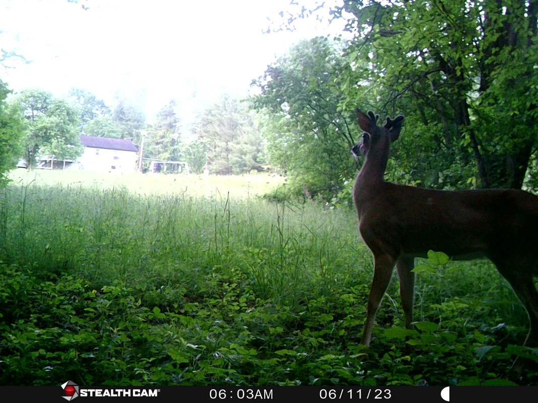 b 014 — Postimages