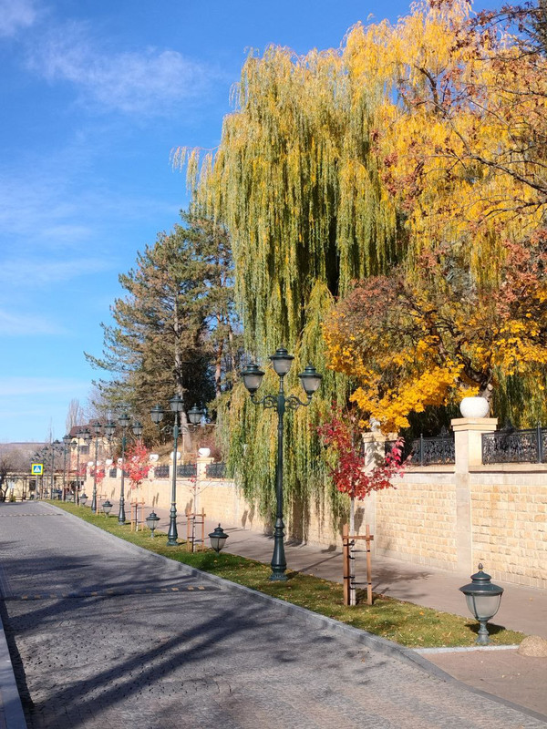 IMG 20231126 121831 114 — Postimages