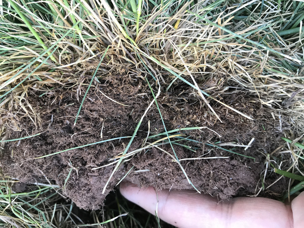 IMG 6563 — Postimages