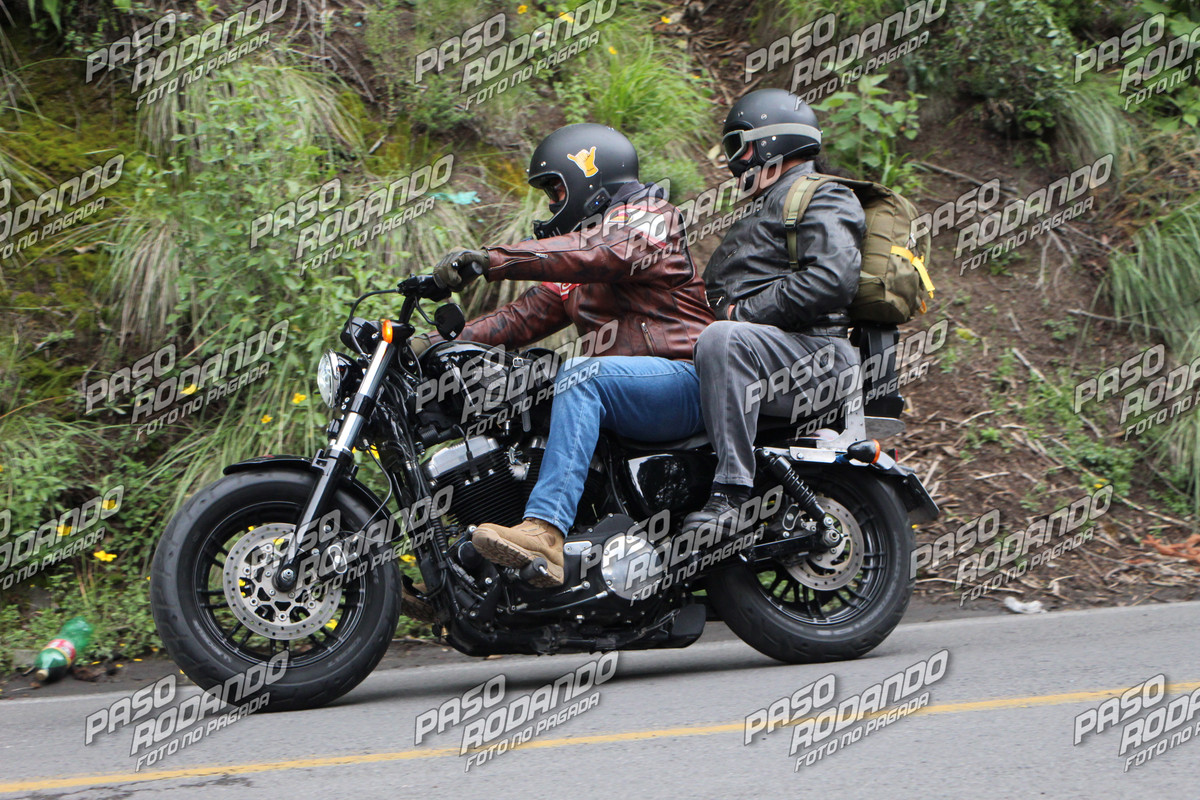 IMG 0981 wm 93252 09999999998 watermarked — Postimages