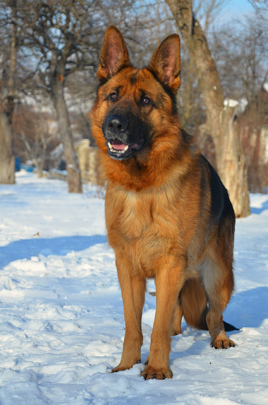 16 C6 F03 E C30 D 4868 A02 B DAFAC2 B79 E02 — Postimages