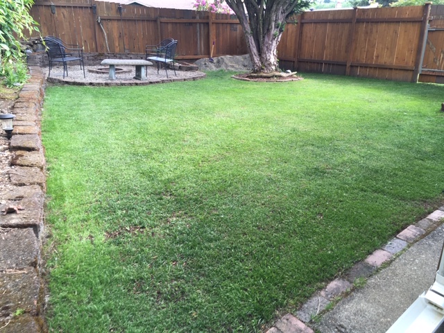 Turf Guy Fitz in the PNW | Lawn Care Forum