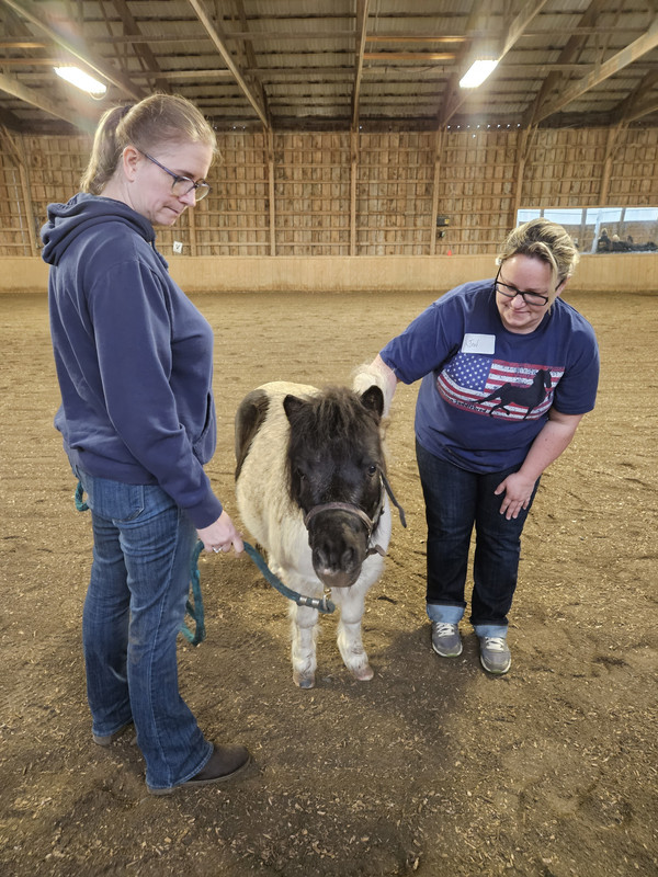 20231028 104254 — Postimages