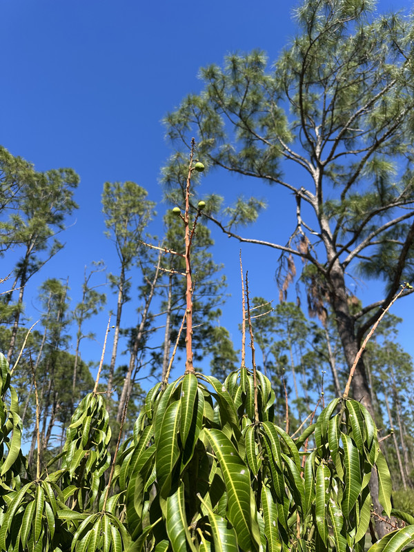 IMG 2875 — Postimages