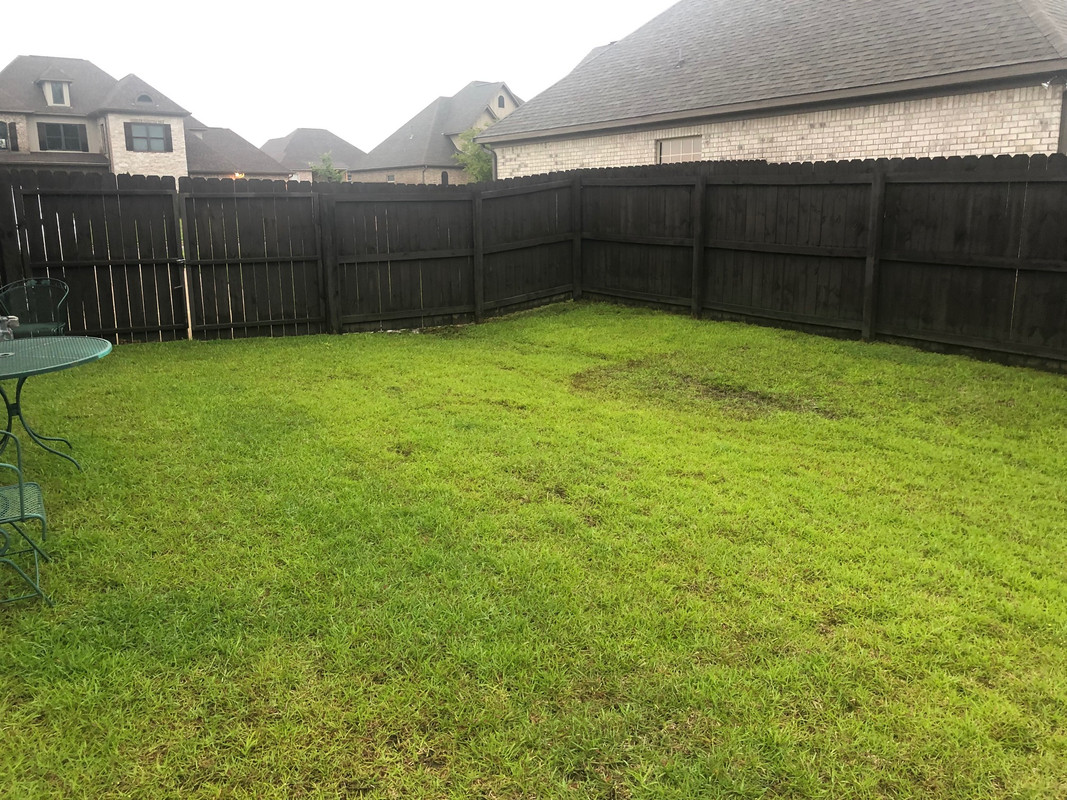 IMG 1196 — Postimages