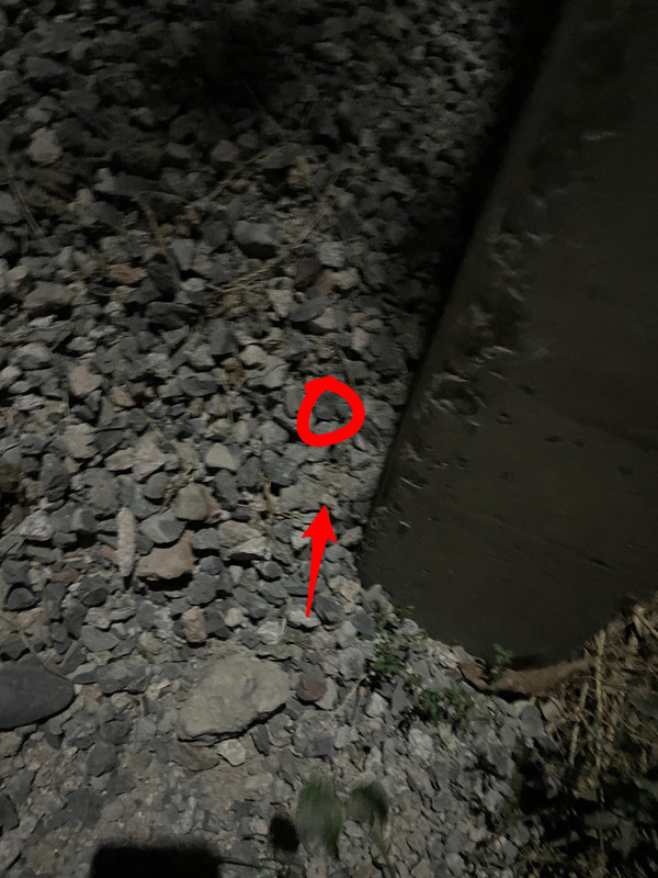 IMG 1089 — Postimages