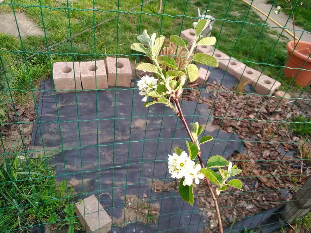 IMG 20200413 174814 — Postimages