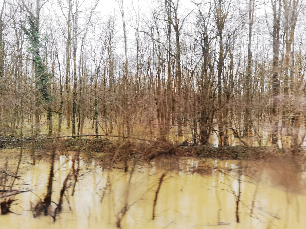 IMG 20240312 124641 — Postimages