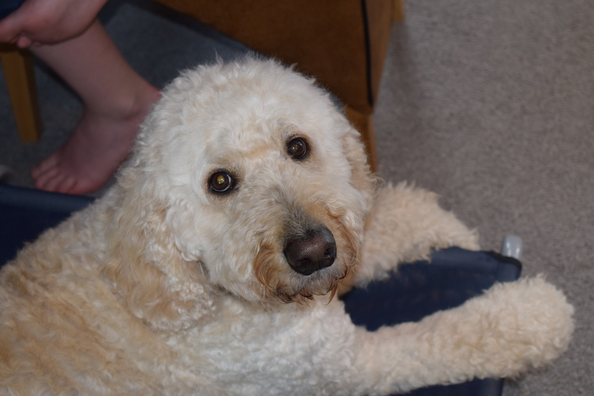 DSC 0002 — Postimages