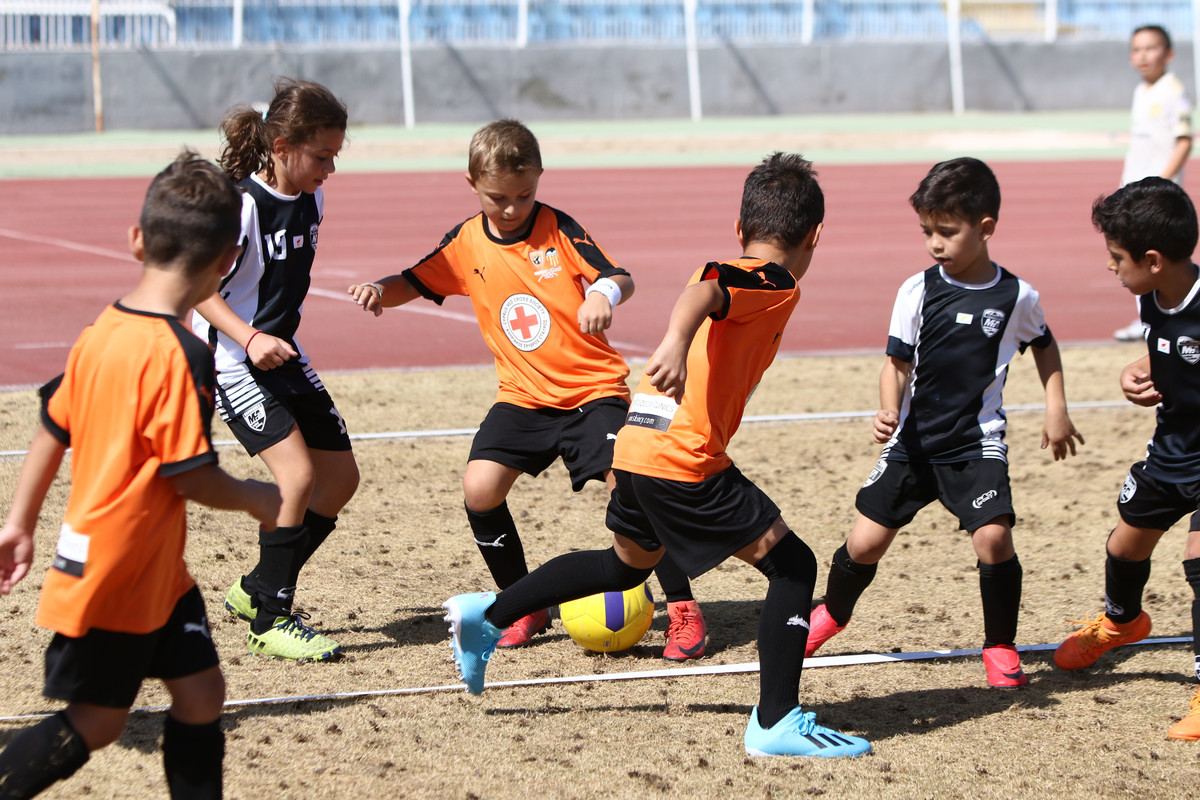 VIK 2199 — Postimages