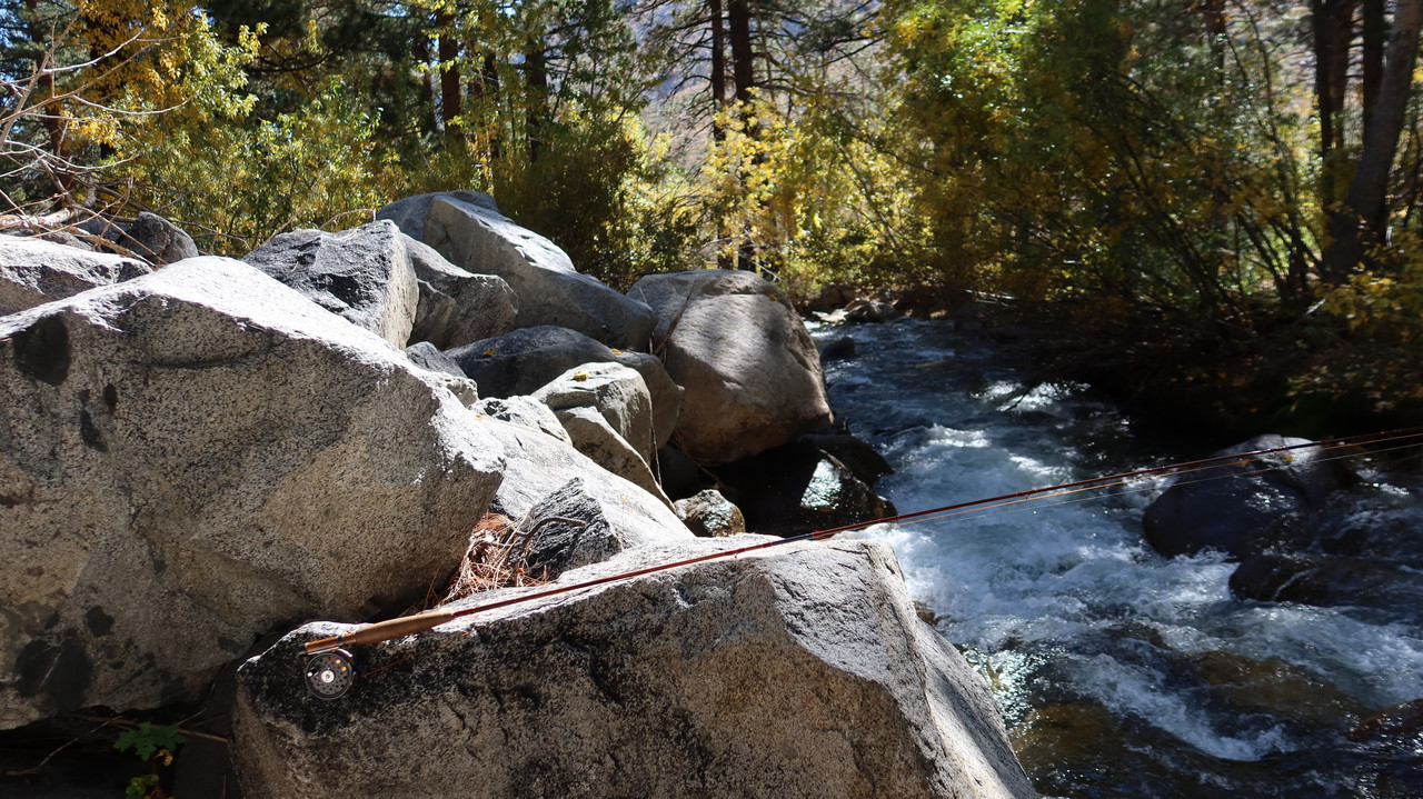 IMG 6953 — Postimages