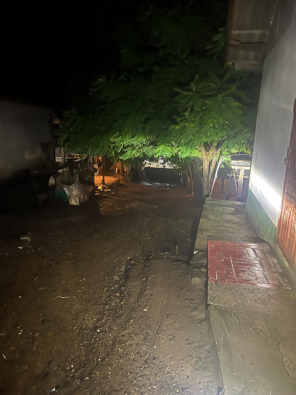 IMG 8916 — Postimages