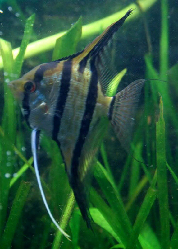 IMG 5023 zps0ed3c727 — Postimages