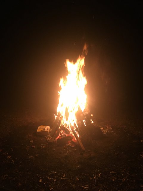 What is everyone doing tonight? - 24hourcampfire
