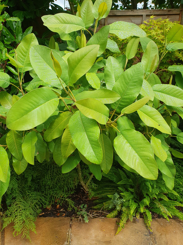 20230620 132010 — Postimages