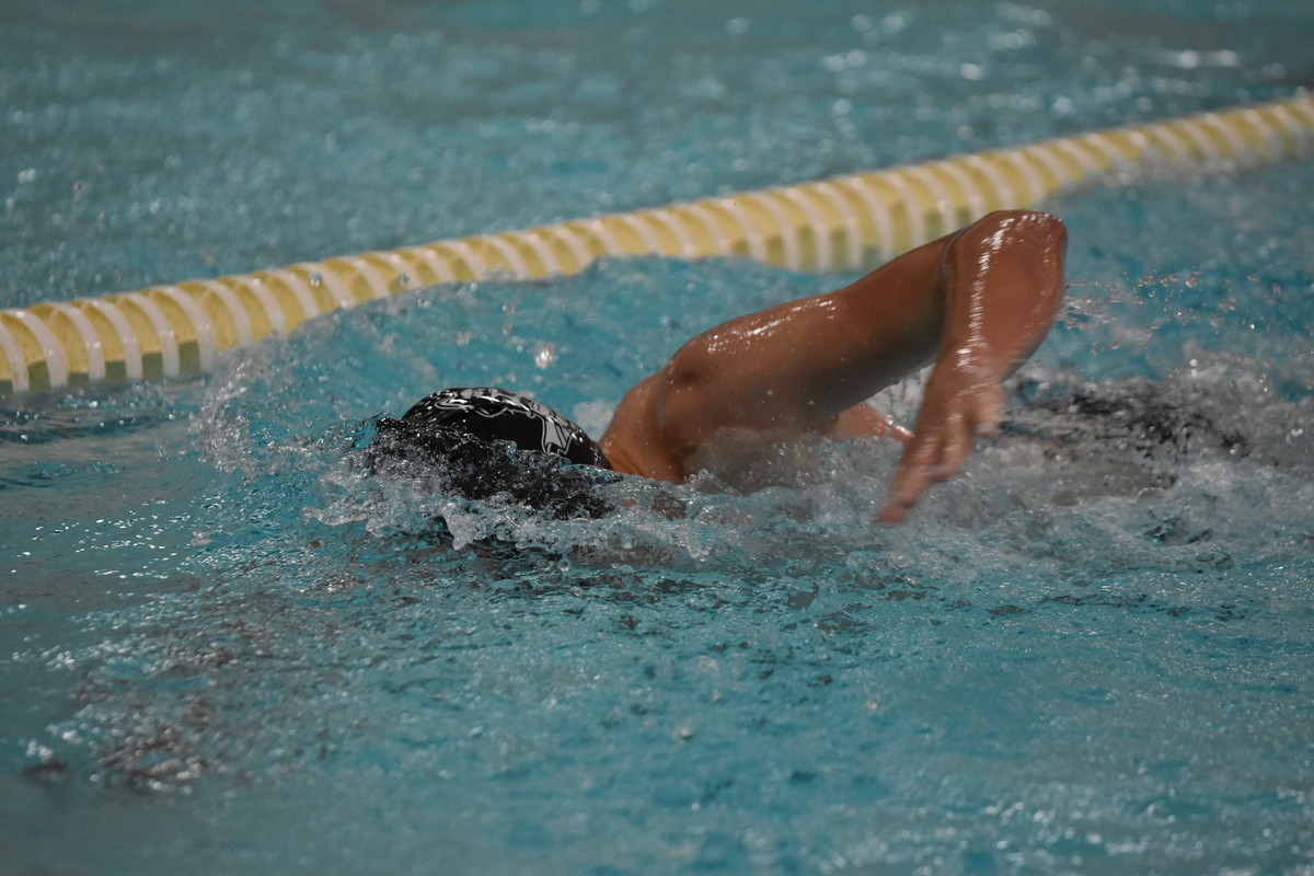 DSC 0451 — Postimages