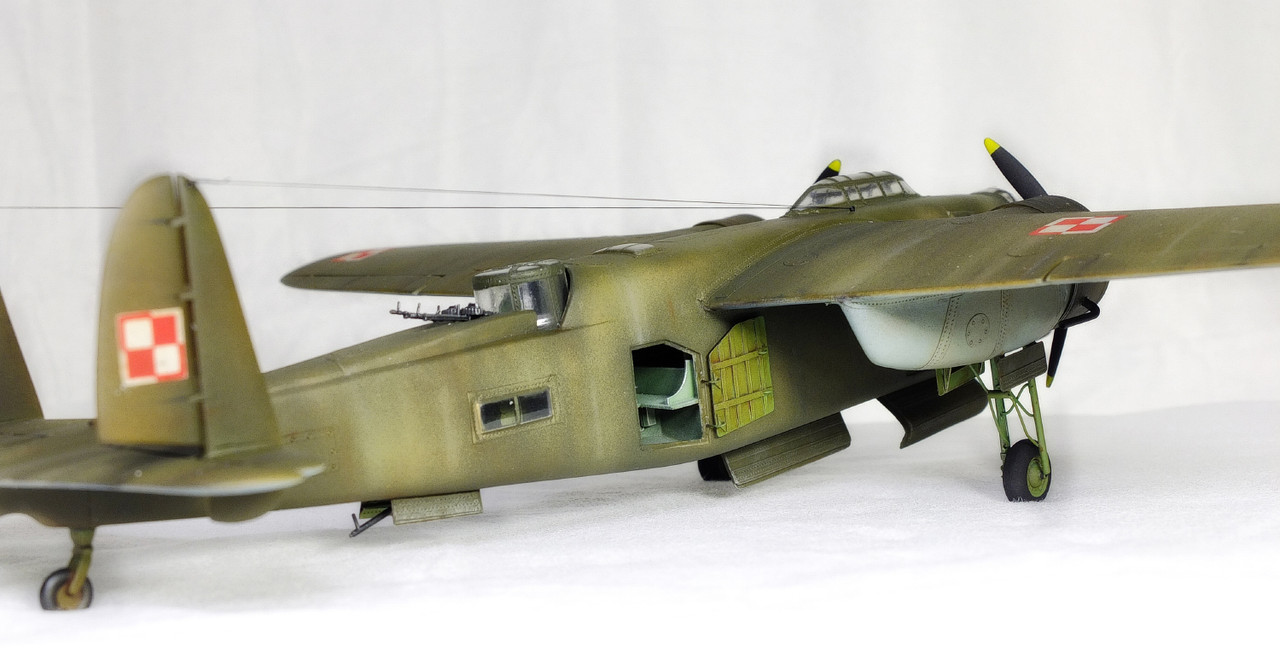 LWS-6 ZUBR - Ready for Inspection - Aircraft - Britmodeller.com