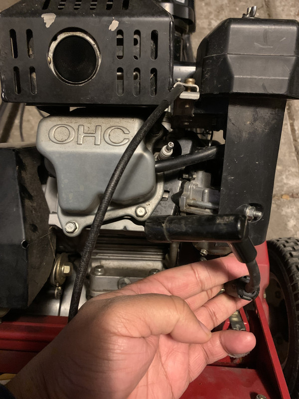 IMG 8137 — Postimages