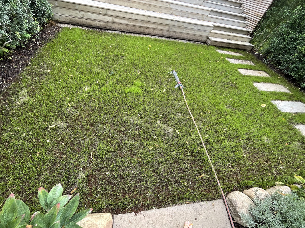 2 A2 C3501 AC3 B 498 C 8935 BEB2538 D06 E8 — Postimages