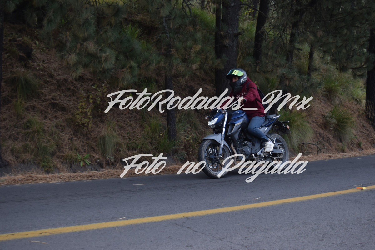 Album — Postimages