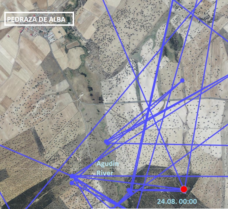 Black Stork Tracks - Page 470 - Looduskalender