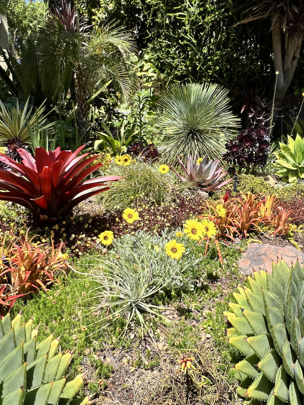 IMG 5436 — Postimages