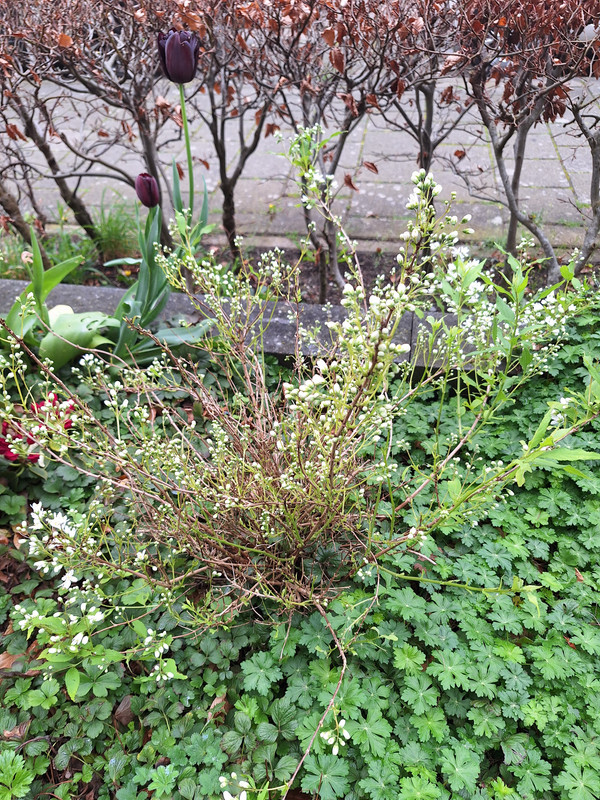 20240412 091403 — Postimages