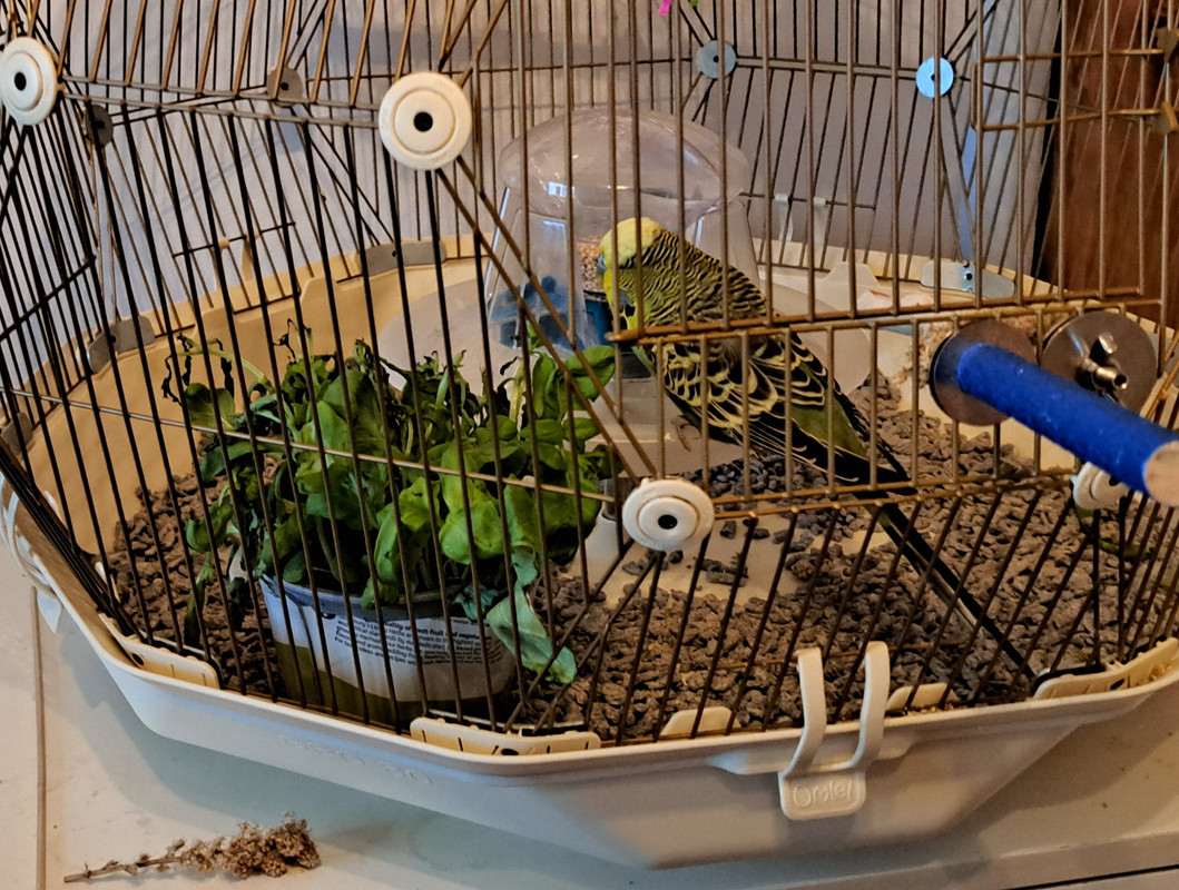 20230108 152141 — Postimages