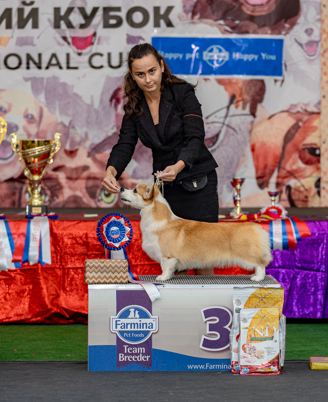 01 628 — Postimages