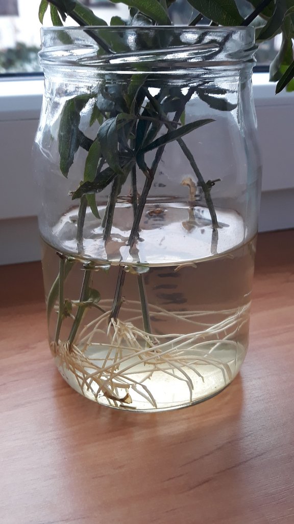 20231128 124454[1] — Postimages