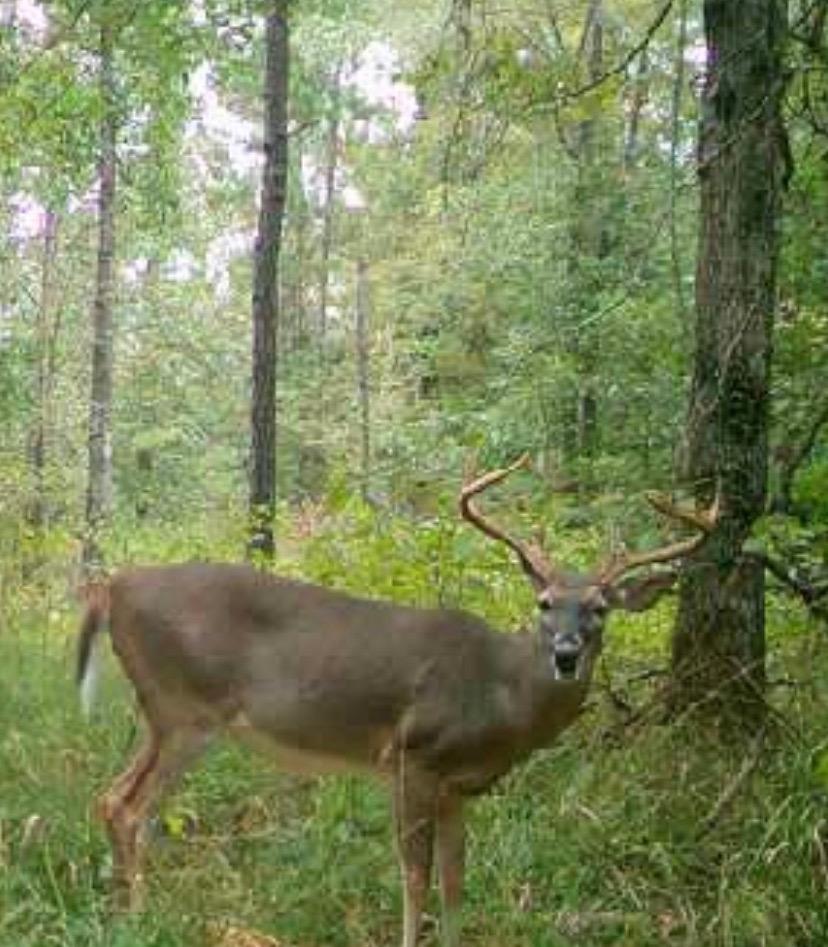 IMG 0571 — Postimages