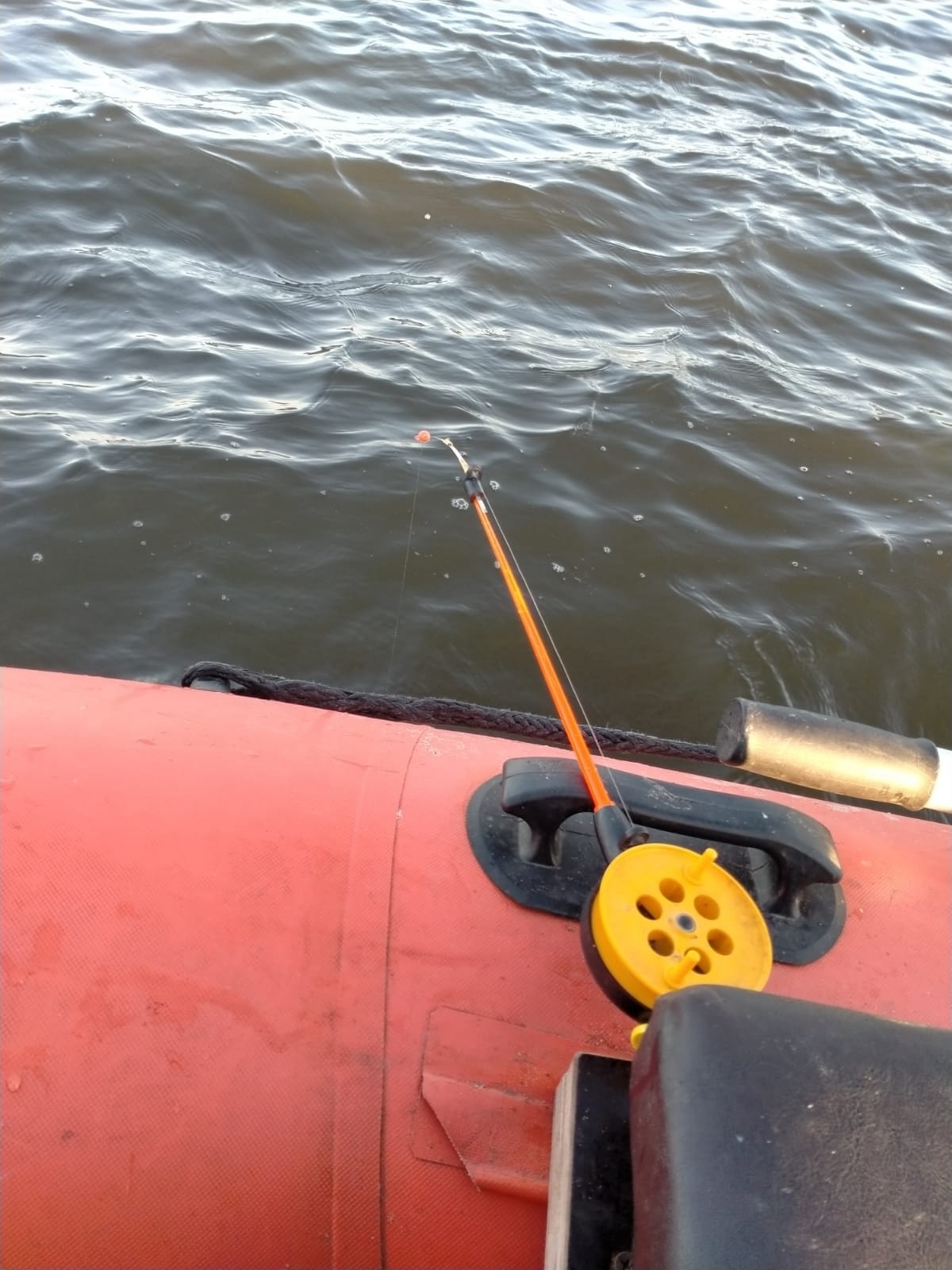 n Cyn0g oj Js — Postimages