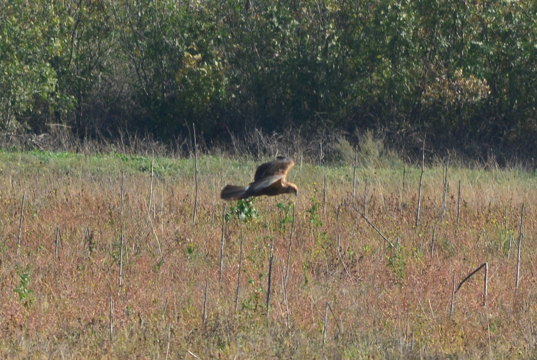 DSC 5657 — Postimages