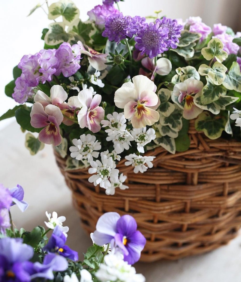 o Rw MXie CVi I — Postimages