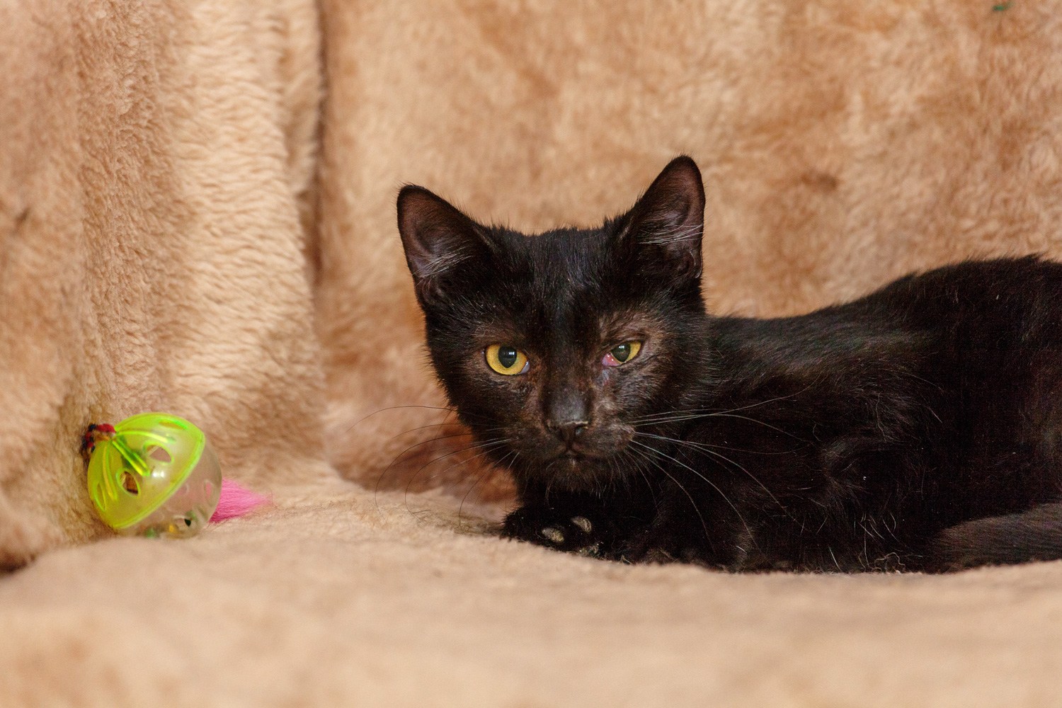 MG 9273 — Postimages