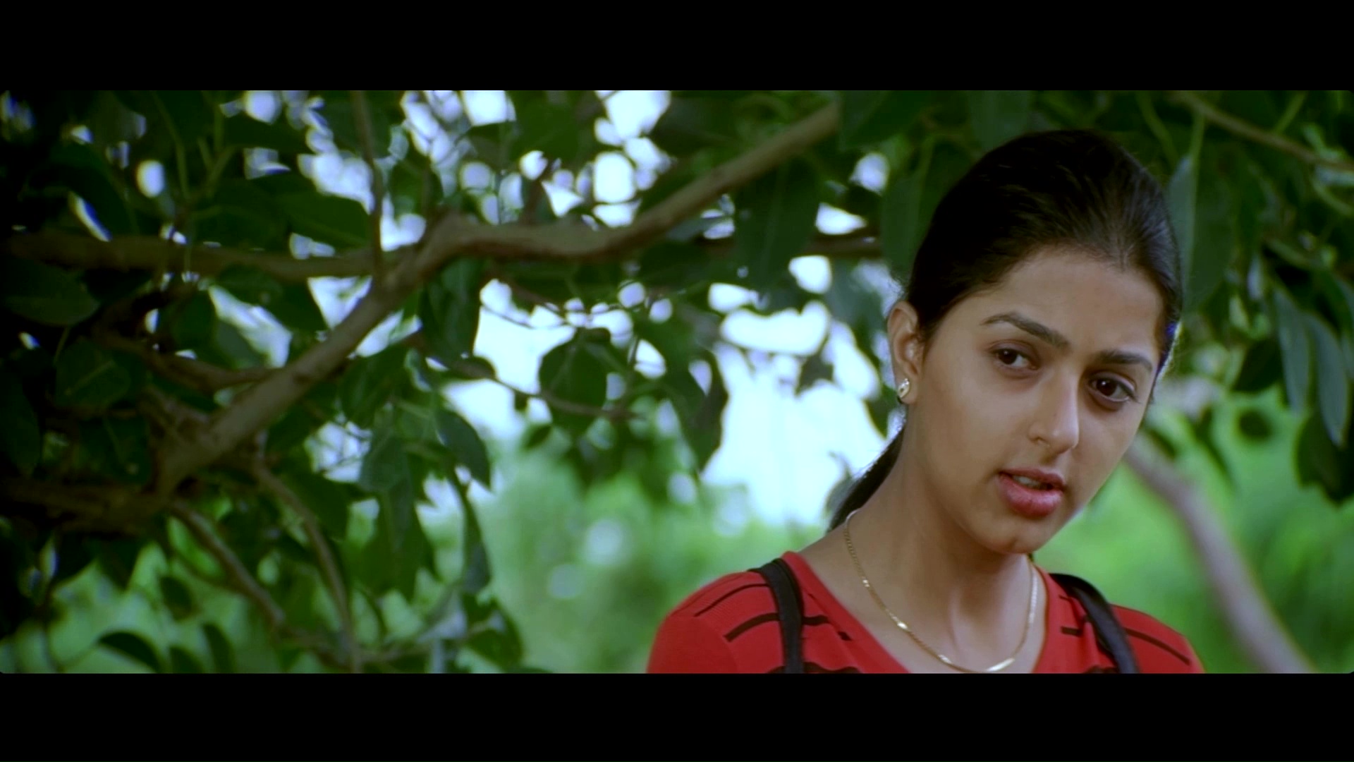 vlcsnap 2021 05 30 17h35m20s599 — Postimages