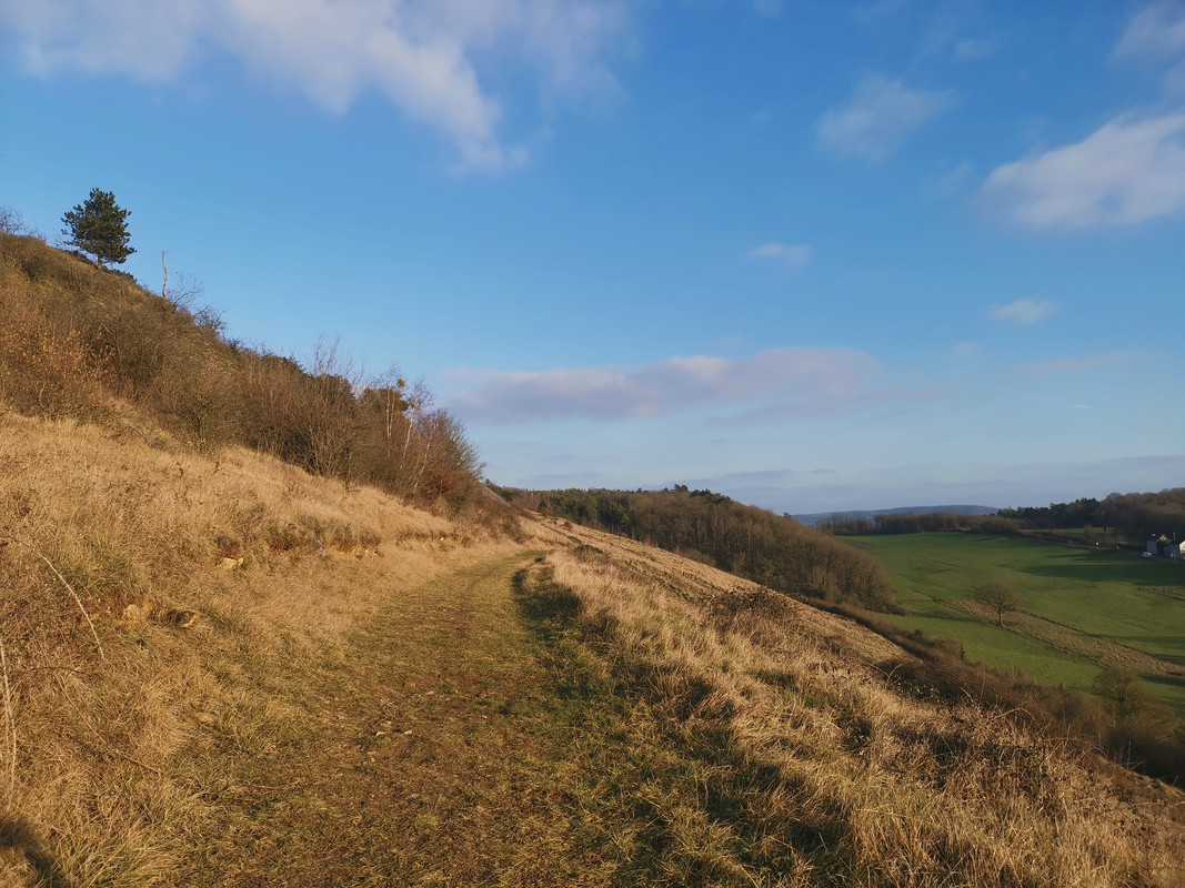 IMG 20230128 154519 — Postimages