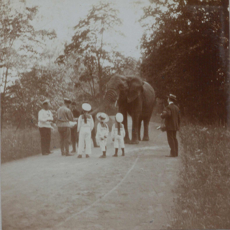 0010 77 1914 Tz Selo — Postimages